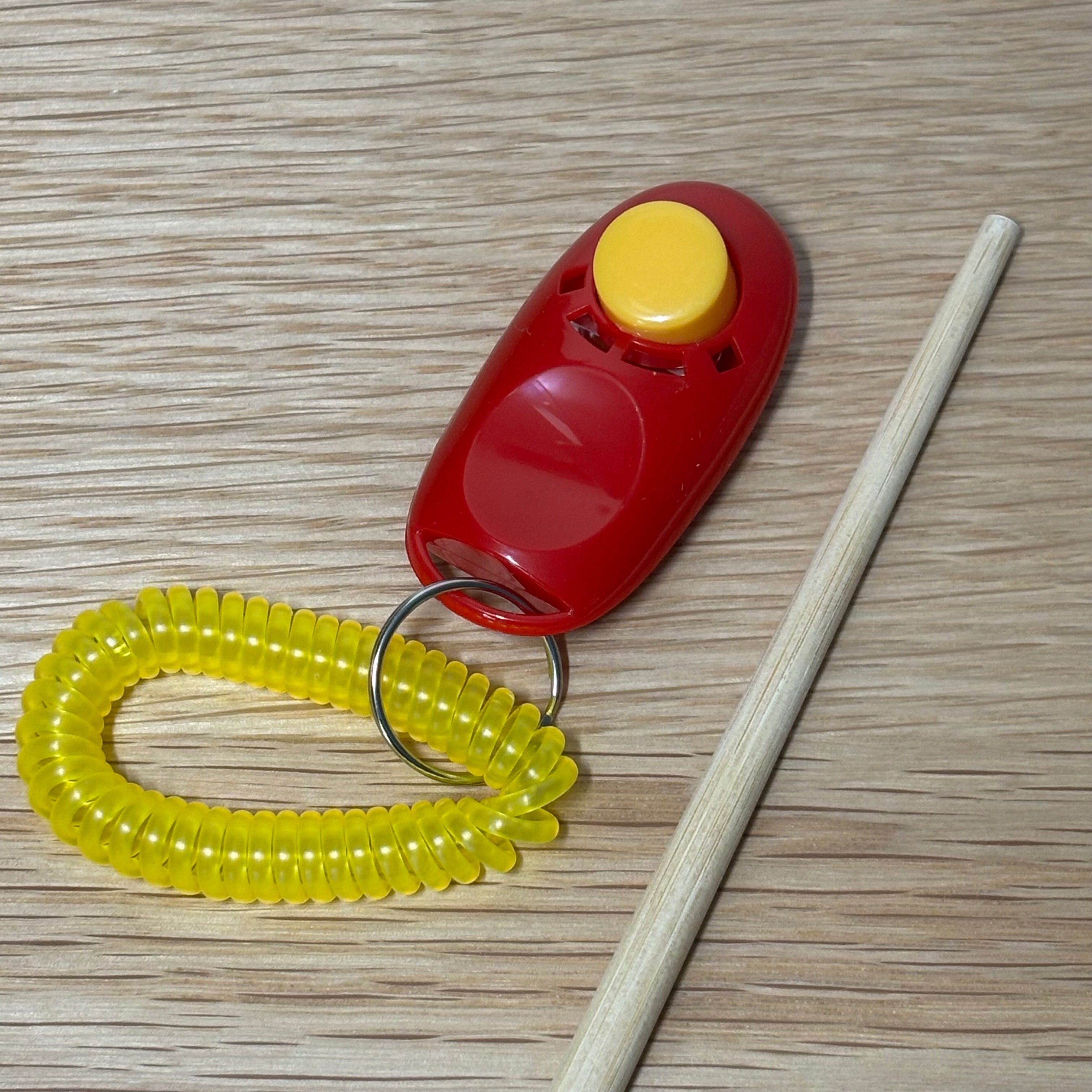 Training Tools – Best Behaved Birds